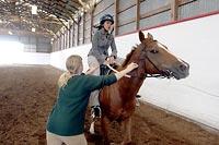'Whoa! Dude!': A neophyte learns to ride horses | The Seattle Times