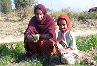 Infusion of help, hope to villagers in Pakistan | The Seattle Times