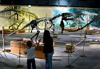 Dig these dinosaurs! Pacific Science Center exhibit covers the newest ...